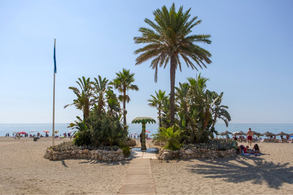 Que faire à Estepona : guide complet et idées d’escapades